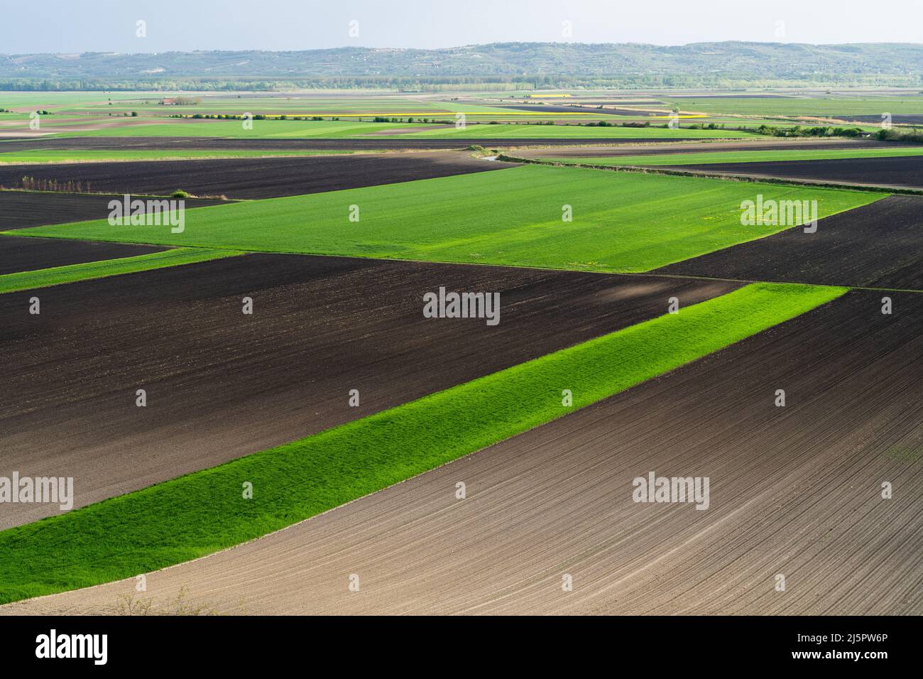 Aerial view striped field green hi-res stock photography and images - Alamy