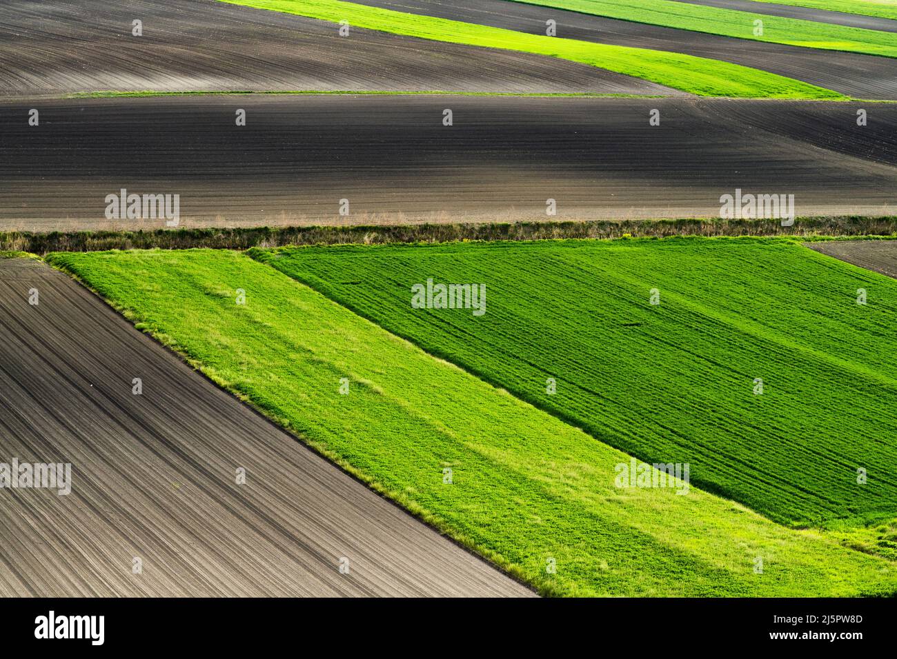 Aerial view striped field green hi-res stock photography and images - Alamy