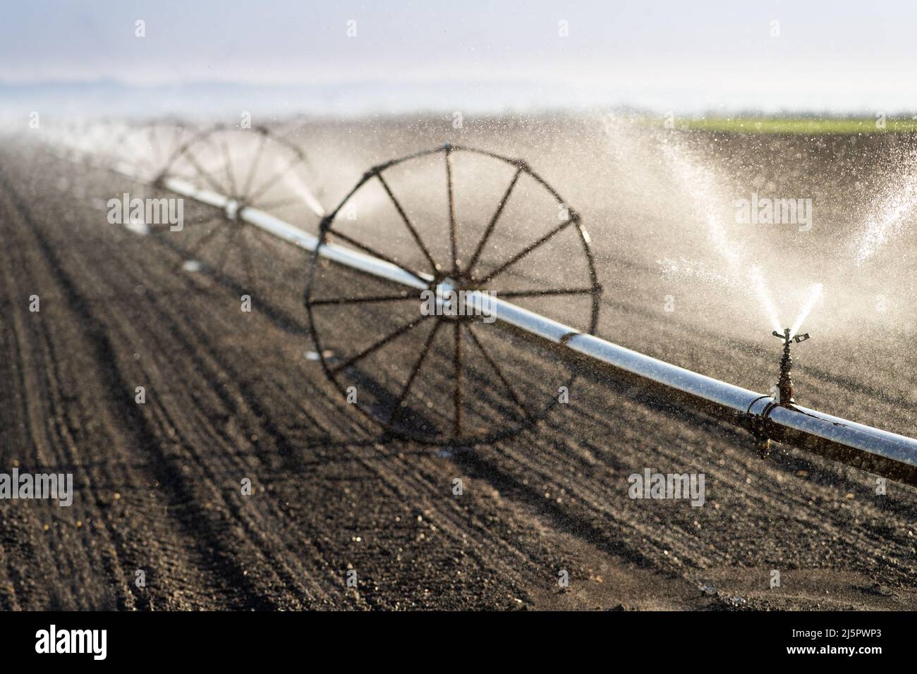 Wheel line sprinkler hi-res stock photography and images - Alamy