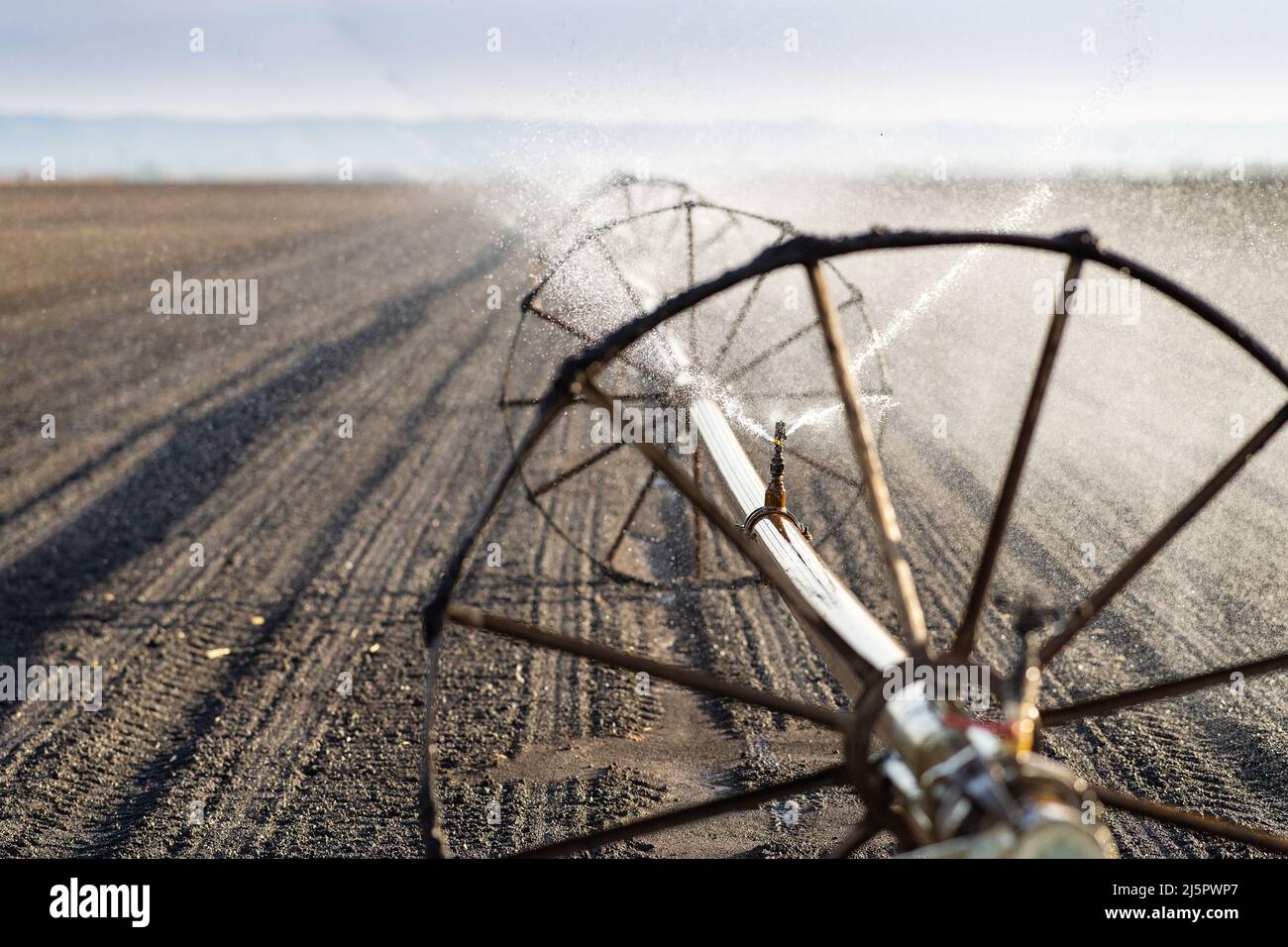 Wheel line sprinkler hi-res stock photography and images - Alamy