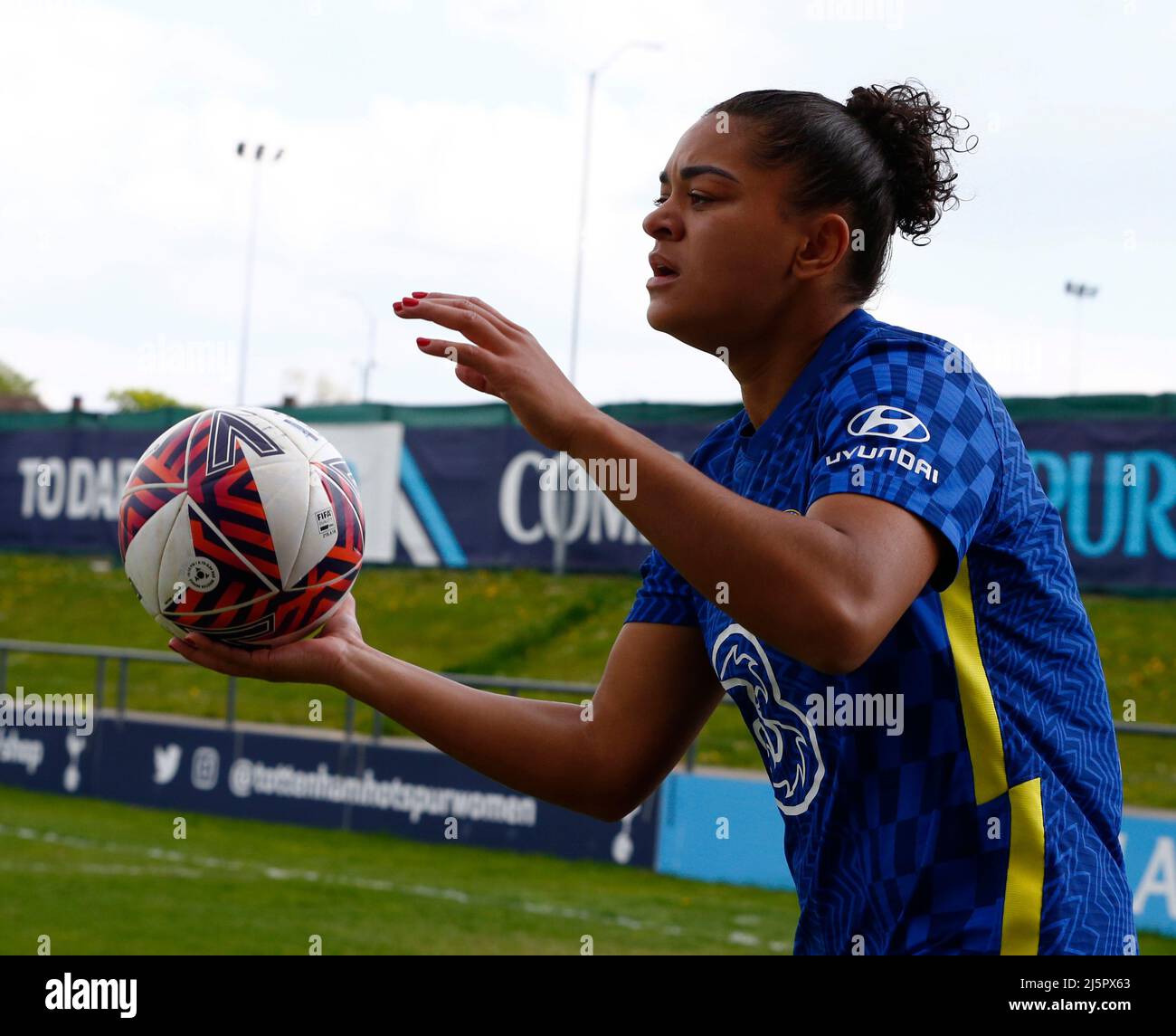 The hive jessica carter hi-res stock photography and images - Alamy