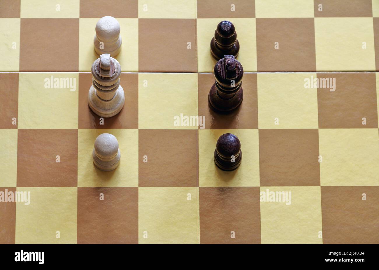 The white king and the two pawns facing the brown chess pieces on the ...