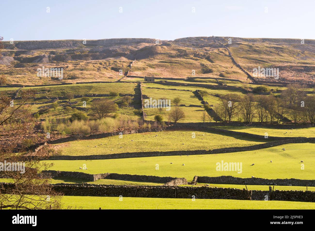 Countryside to the east of Reeth village, in North Yorkshire, England ...