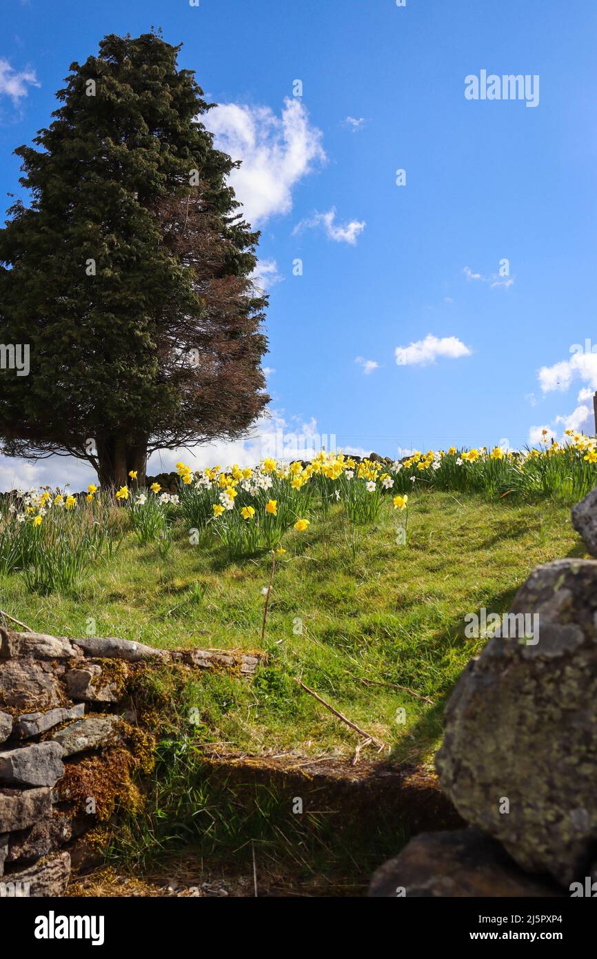 Lakes spring blue sky hi-res stock photography and images - Alamy