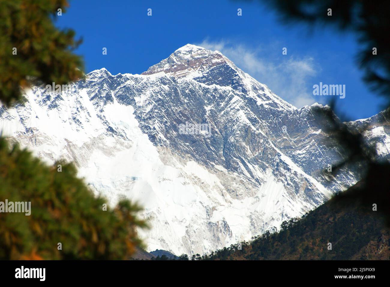 View of Mount Everest near Namche Bazar in the middle pine trees, Khumbu valley, Solukhumbu ...