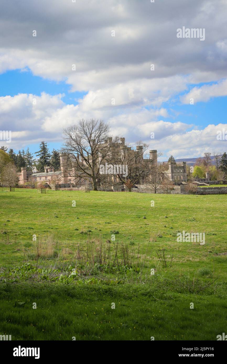 Lowther castle trees hi-res stock photography and images - Alamy