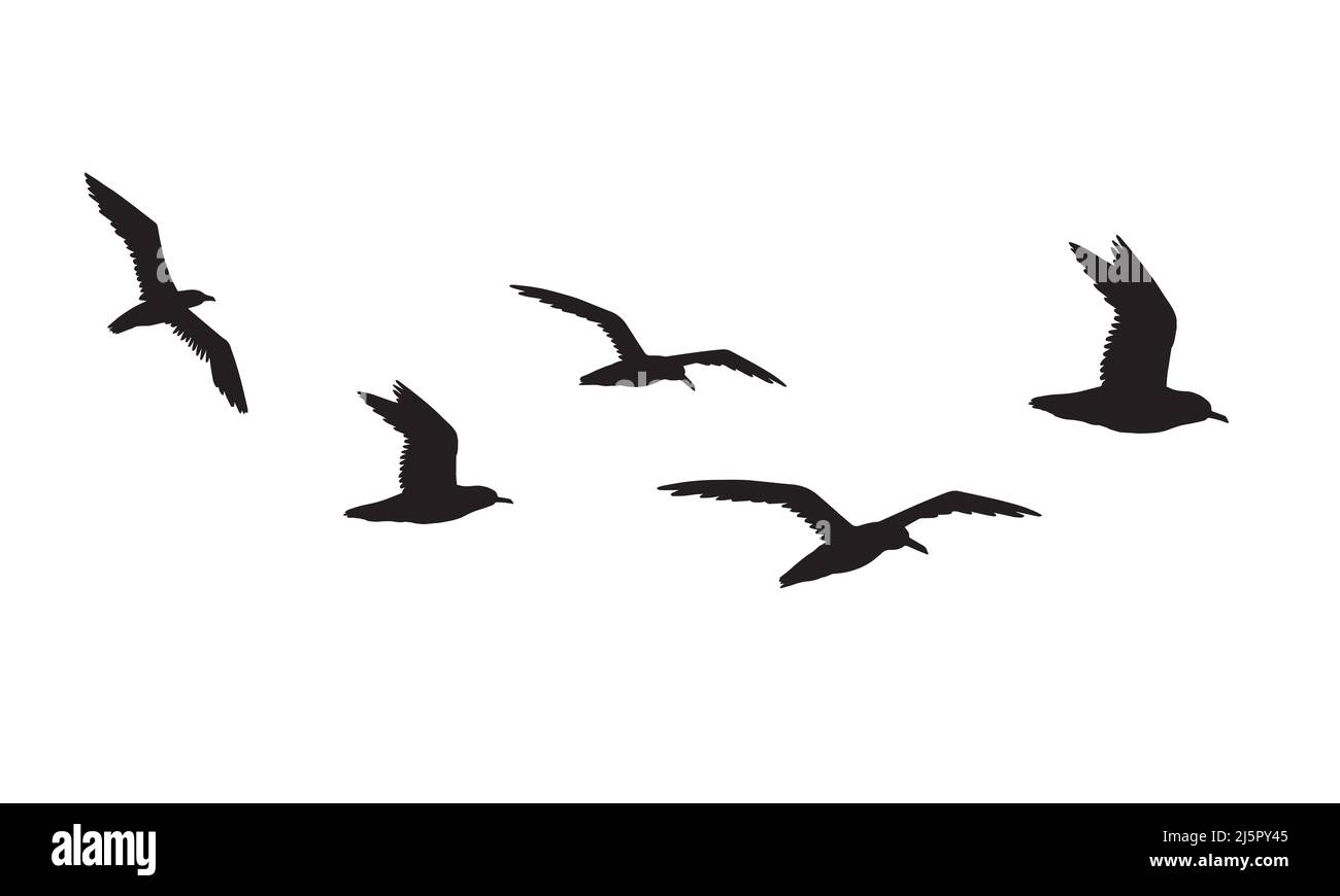 Vector black flock of seagulls flying silhouette isolated on white ...