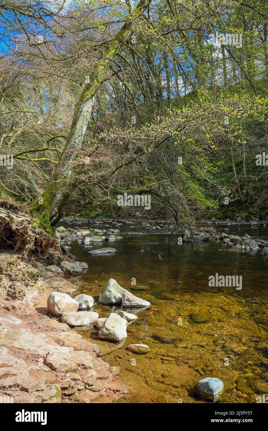 River Lowther, Lowther Estate Stock Photo - Alamy