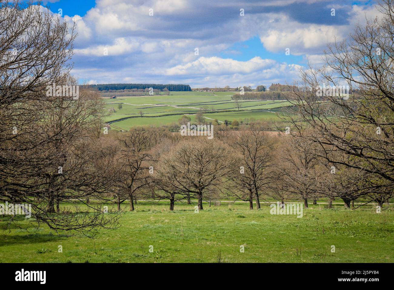 Open countryside, Lowther Estate, Cumbria, with trees, hills and blue ...