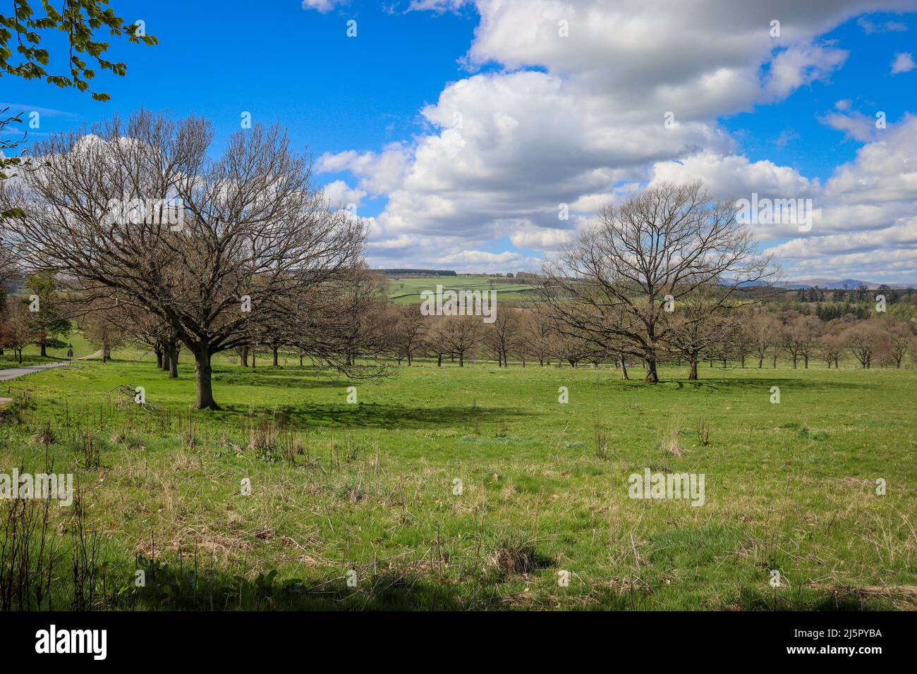Open countryside, Lowther Estate, Cumbria, with trees, hills and blue ...
