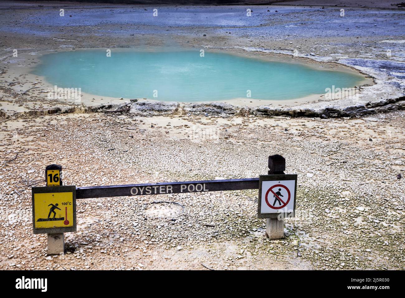Oyster pool with cooking or 100 degrees C water in the Waiotapy ...