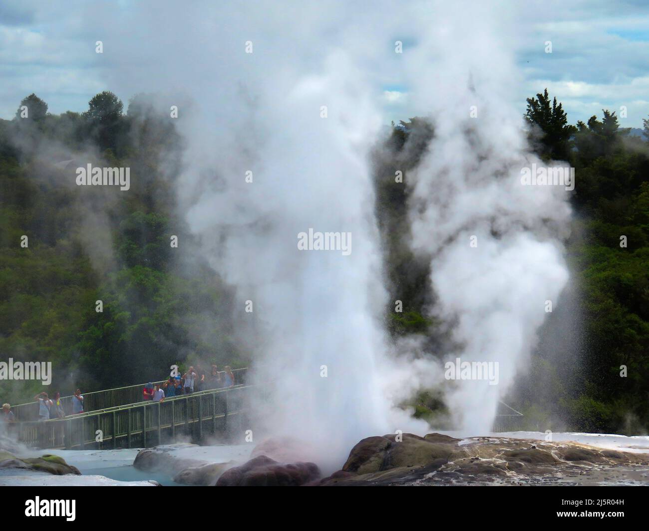 New Zealand, north island - Pohutu geyser erupting in Whakarewarewa ...