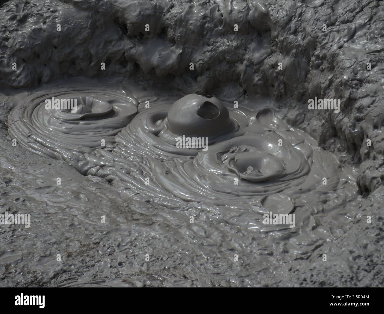 New Zealand, north island - boiling mud pools in Whakarewarewa Thermal ...