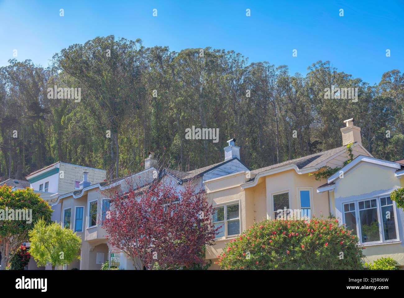 Complex houses exterior against the trees at the back in San Francisco ...