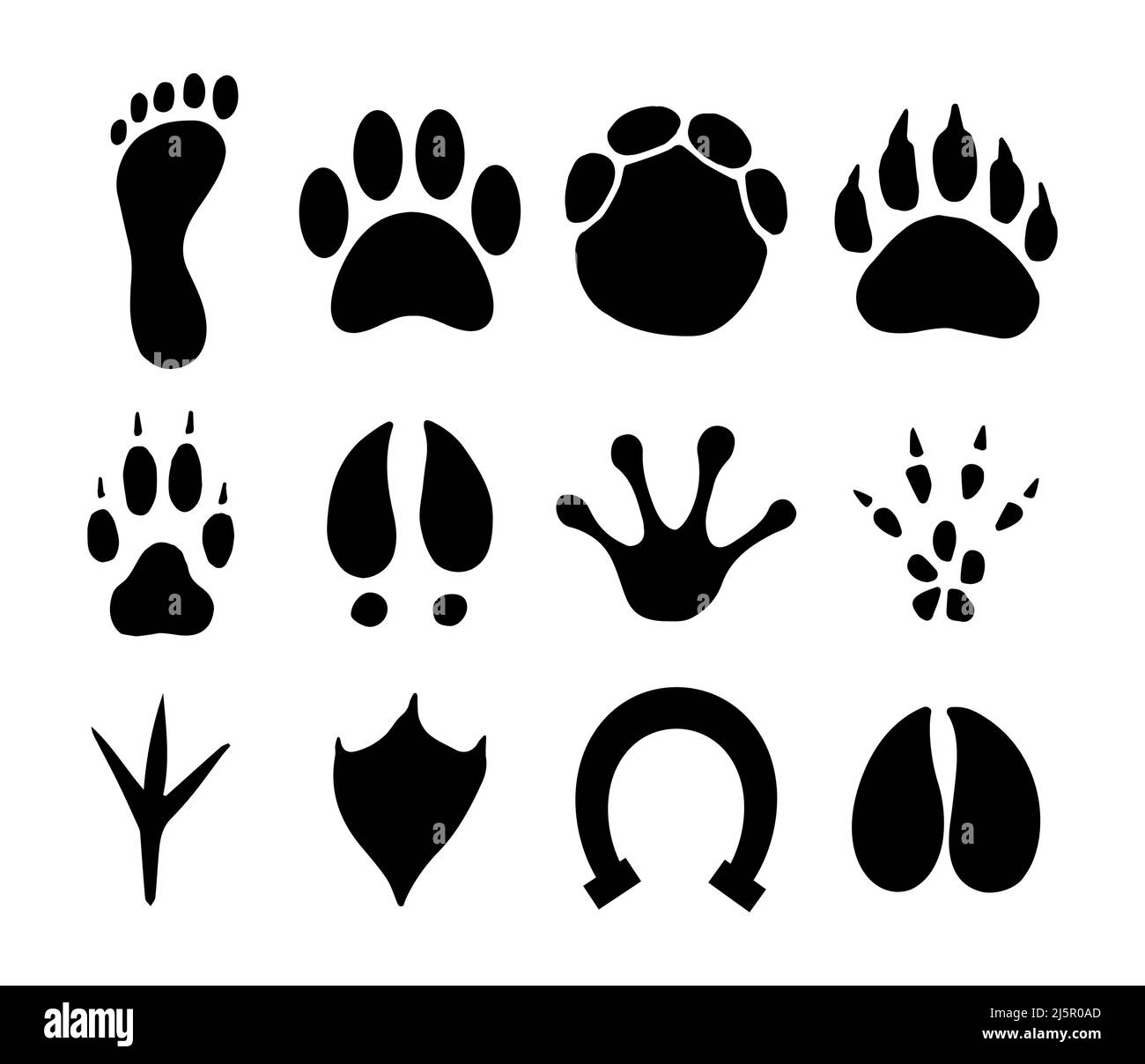Vector black set bundle of different animals foot print steps isolated ...