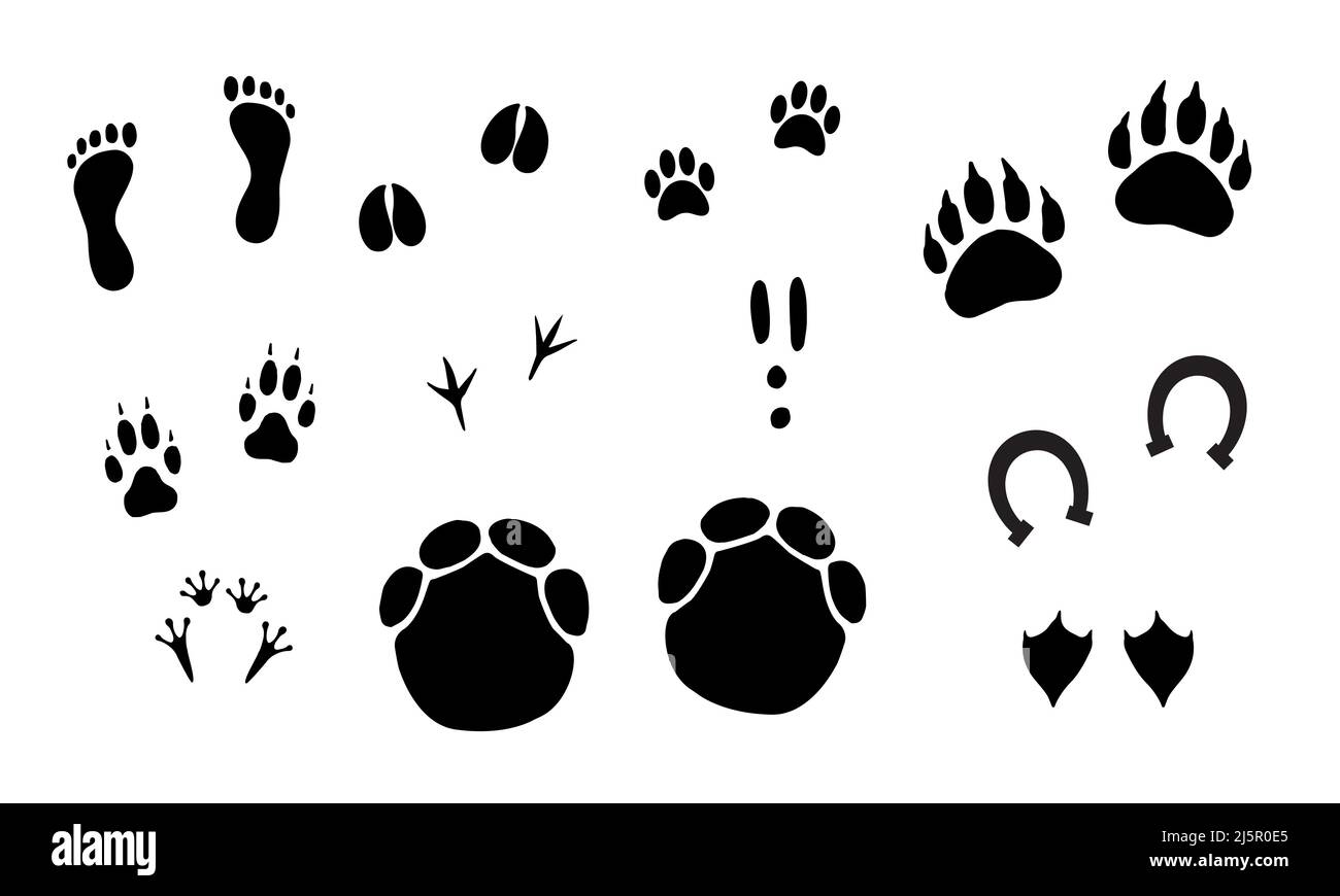 Vector black set bundle of different animals foot print steps isolated ...