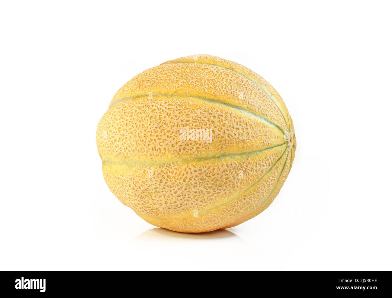 Single whole melon fruit isolated on white background Stock Photo - Alamy