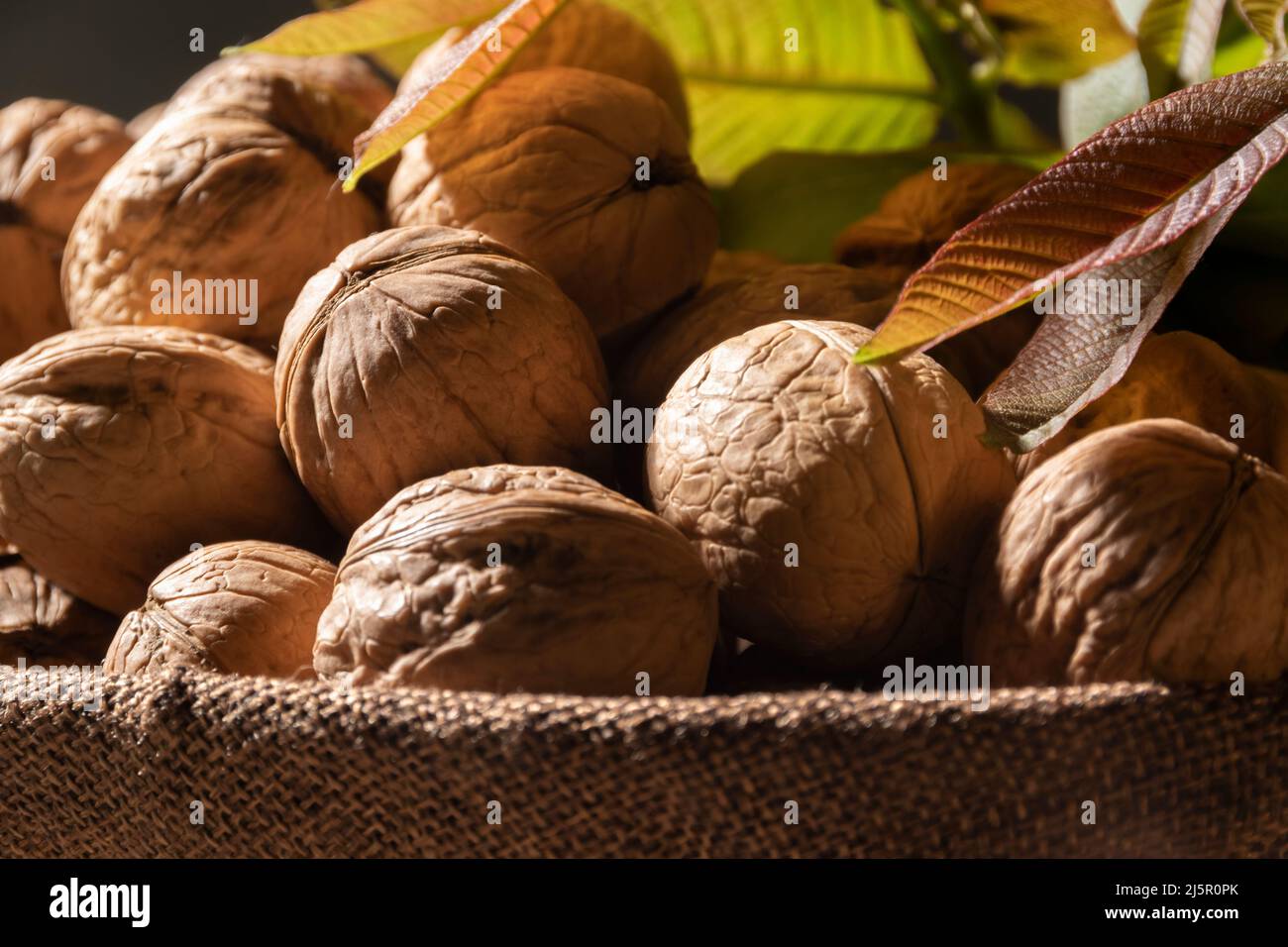 Whole walnuts in basket, food harvest, rustic style Stock Photo - Alamy