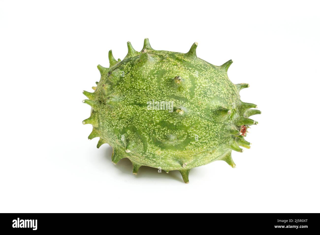 Whole green kiwano fruit isolated on white background Stock Photo - Alamy