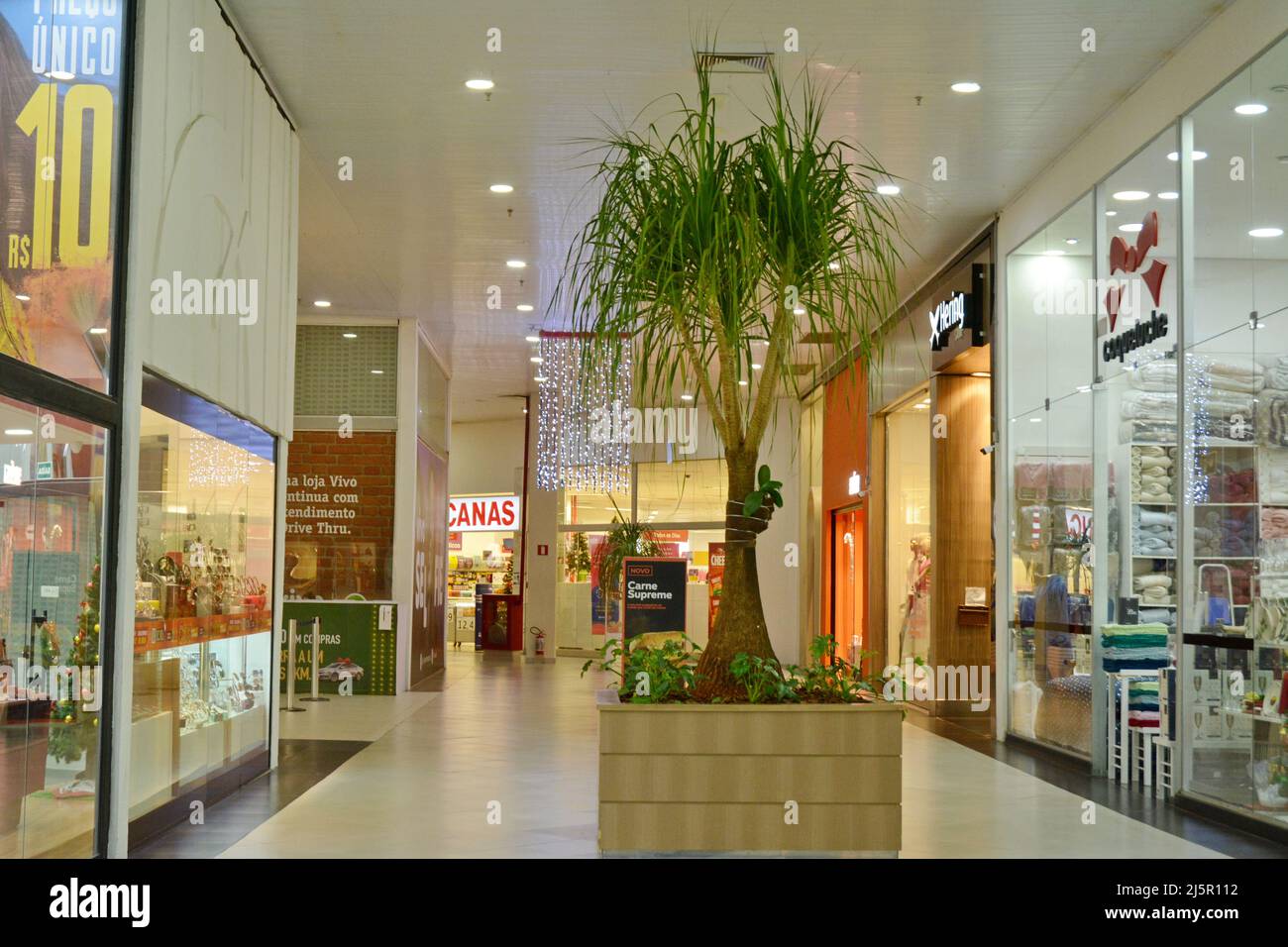 lighted windows for Christmas in shopping malls in Brazil, South ...