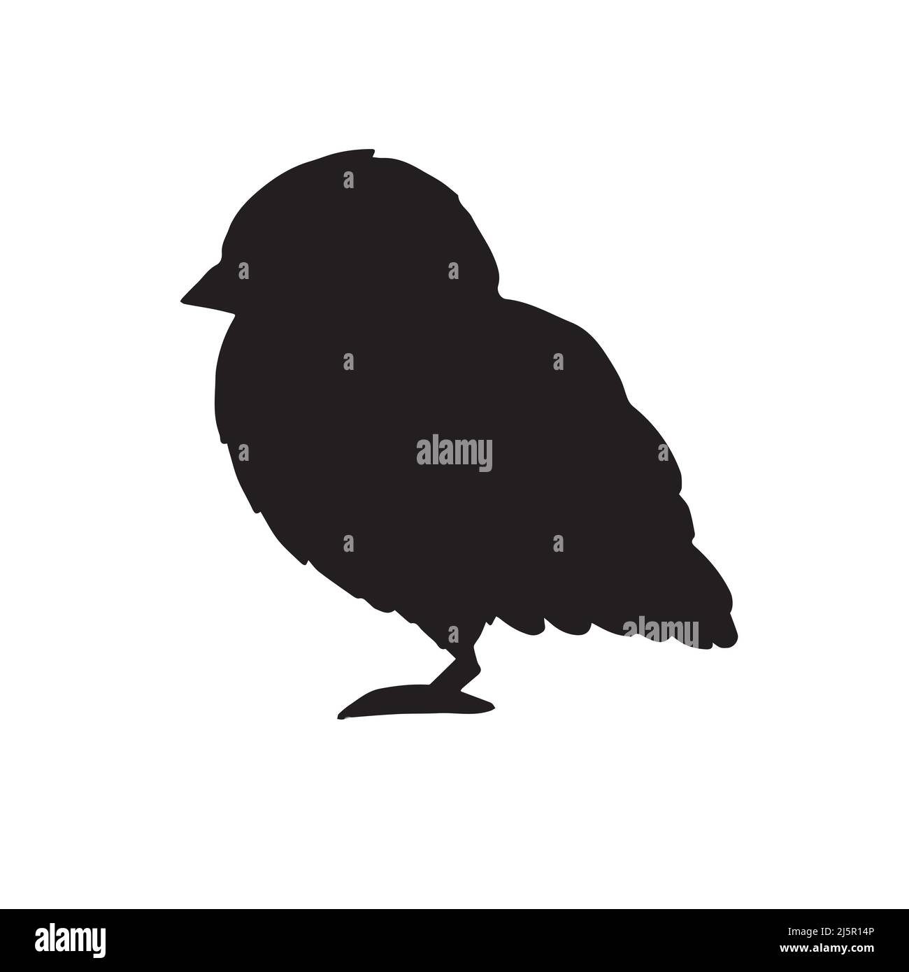 Vector black baby chick silhouette isolated on white background Stock ...