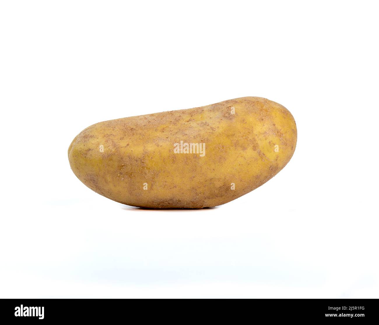 Close-up of a whole unpeeled potato on a white background. Copy space ...
