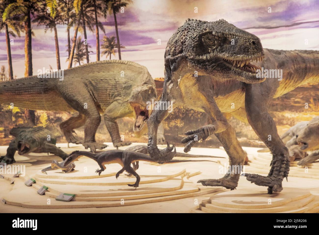 Dinosaur display in the park museum at Ischigualasto, San Juan ...