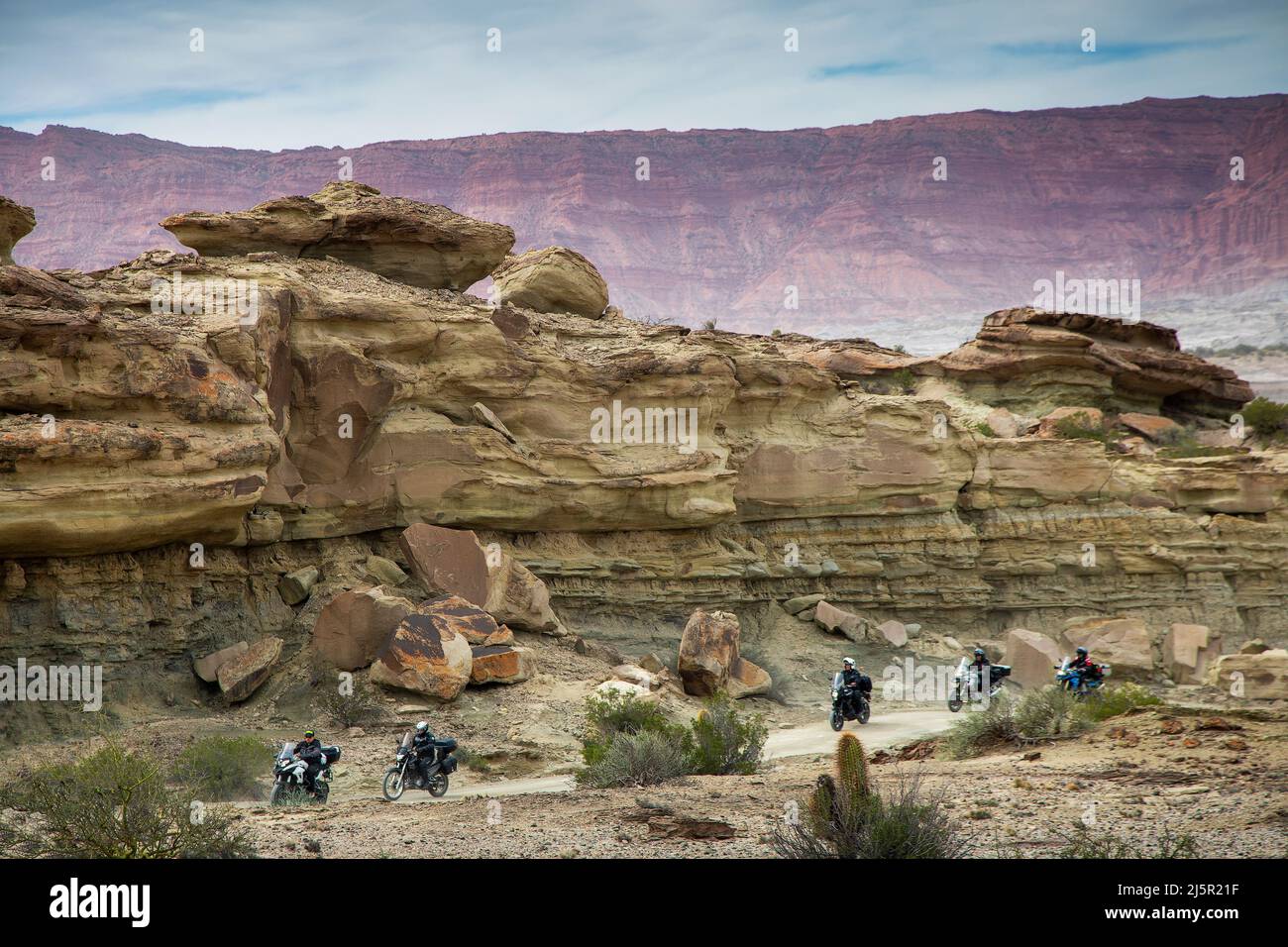 Argentina,national park and Unesco heritage site Ischigualasto ...