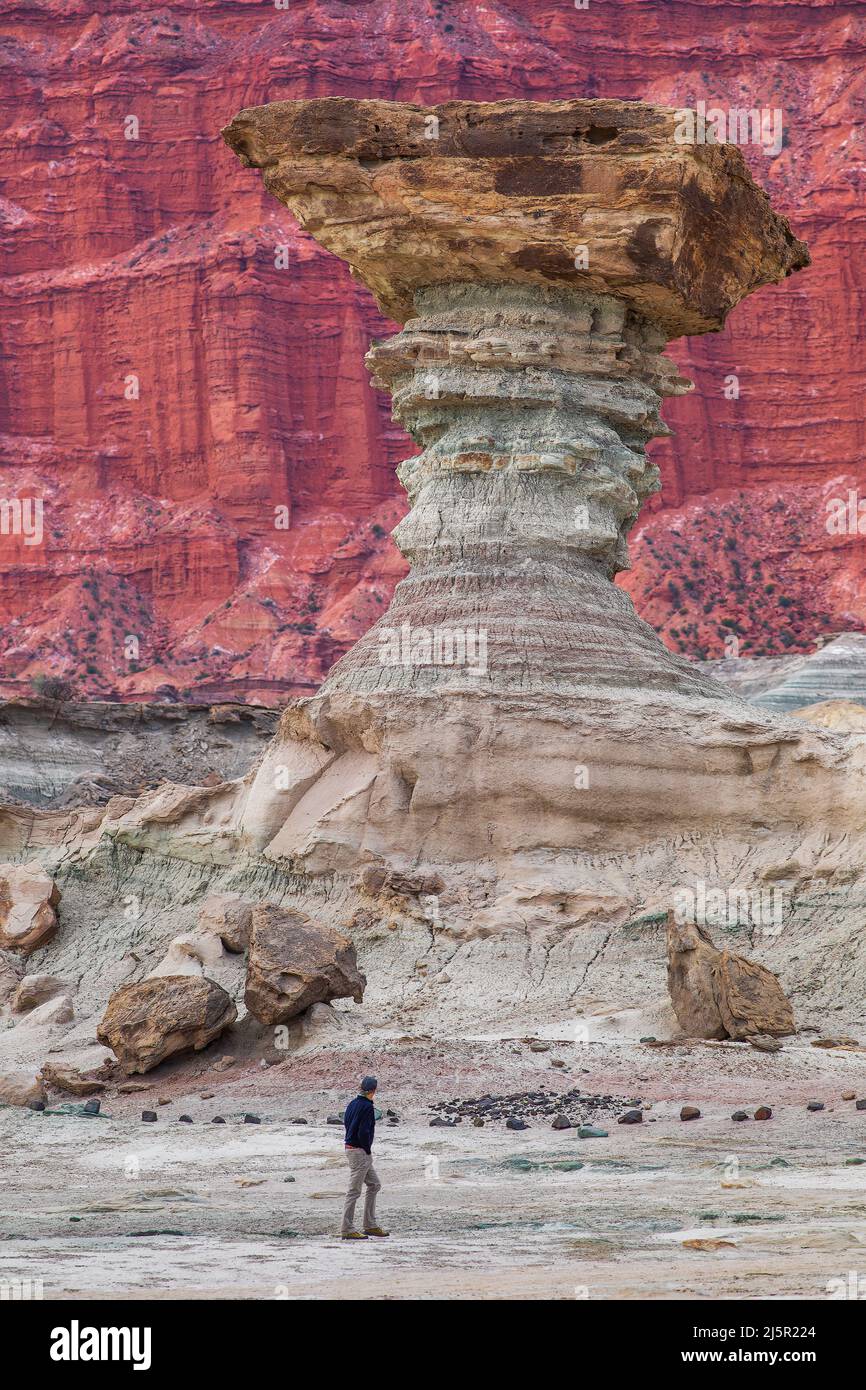 Argentina,national park and Unesco heritage site Ischigualasto ...