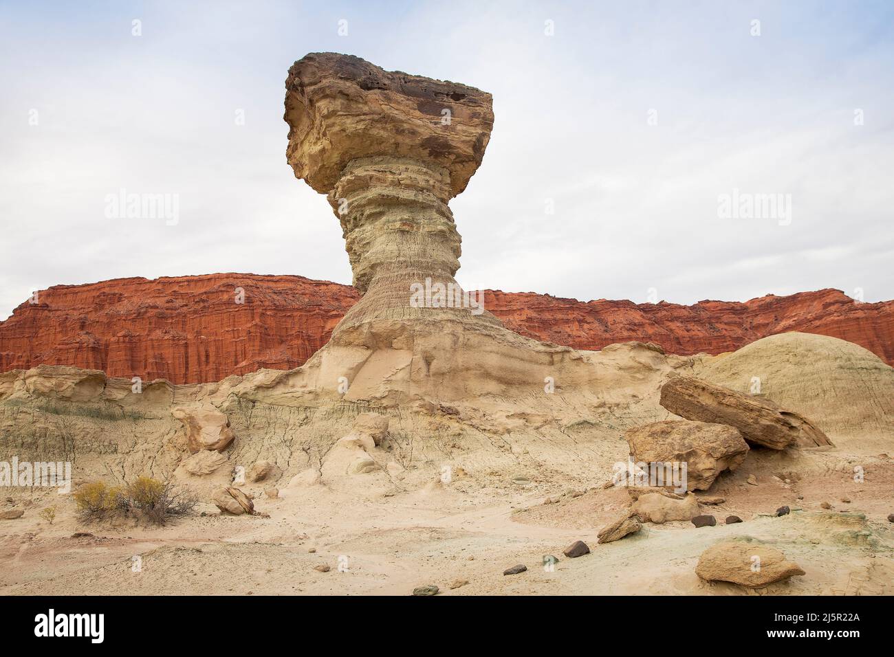 Argentina,national park and Unesco heritage site Ischigualasto ...