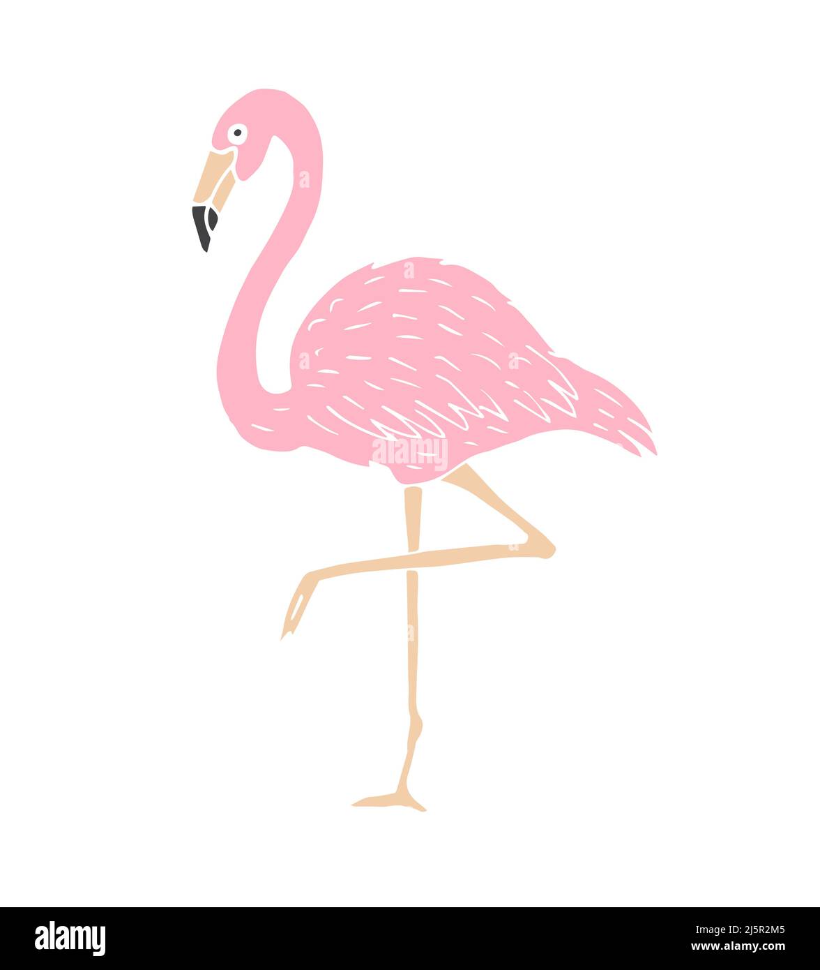 Vector hand drawn doodle sketch pink flamingo isolated on white ...
