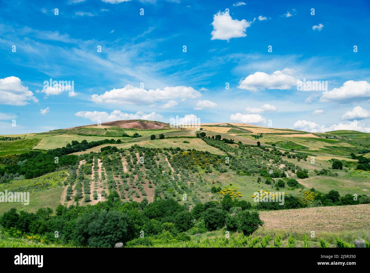 Italian landscape in spring time in Basilicata region, Italy Stock ...