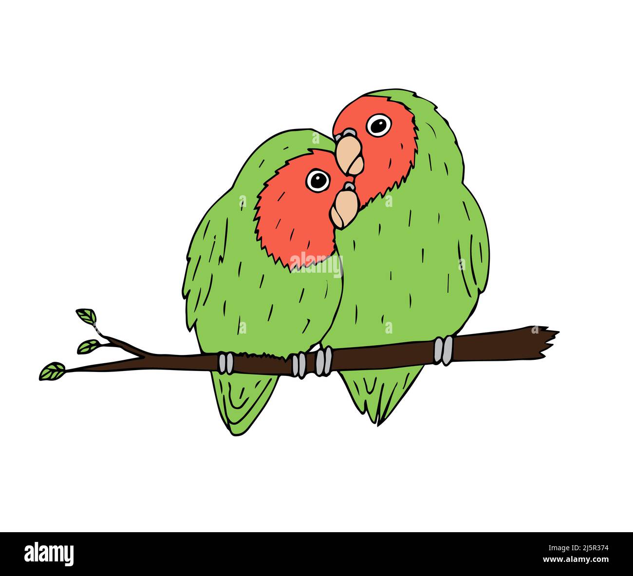 Vector hand drawn doodle sketch green lovebirds parrots pair isolated ...