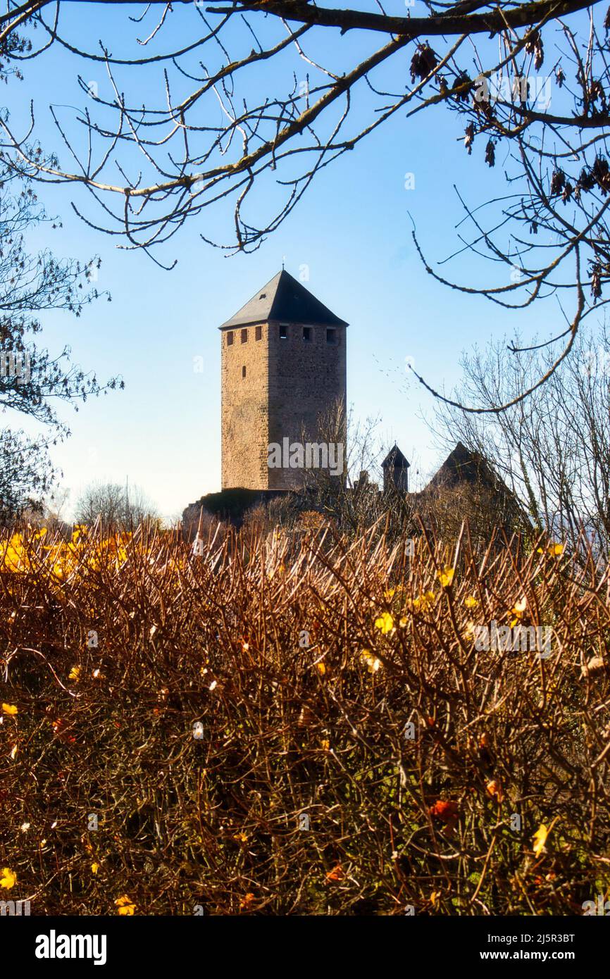 Trees and plants around Lichtenberg Castle on a sunny fall afternoon in ...