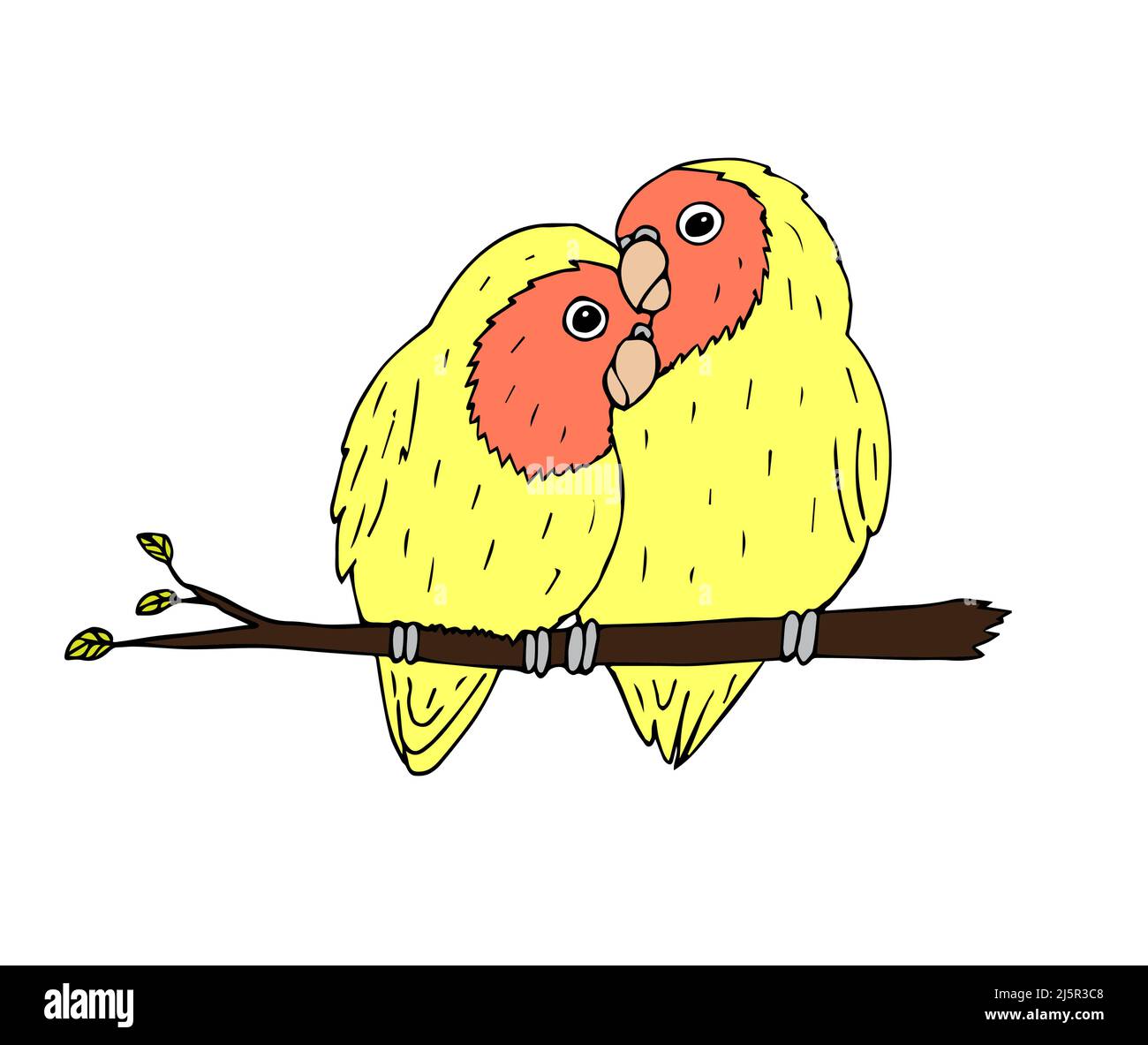 Vector hand drawn doodle sketch yellow lovebirds sitting on branch ...