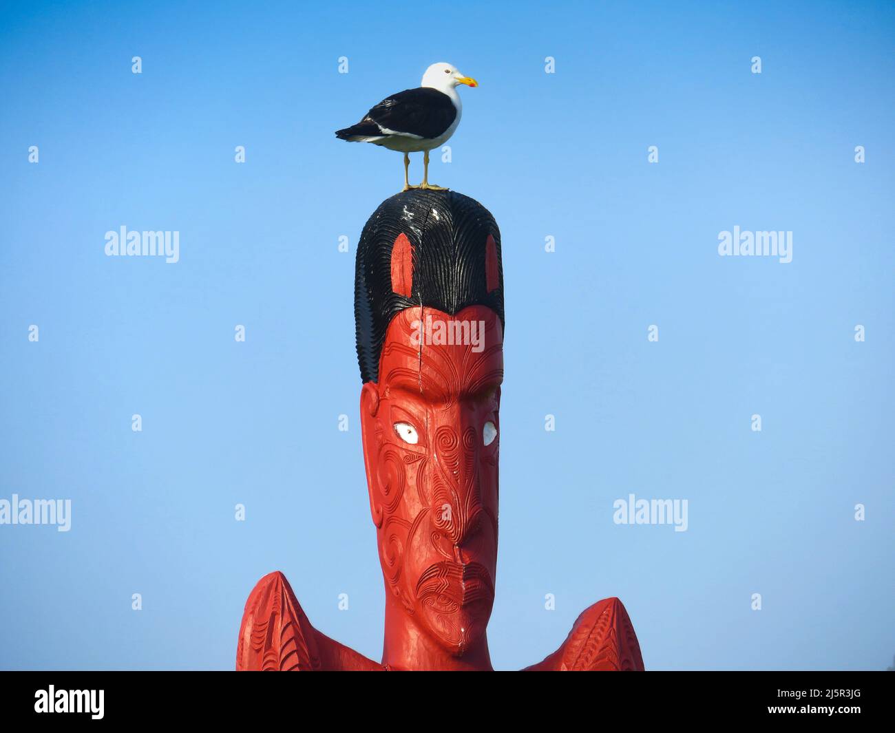 Traditional maori statues in the Waitangi area near Paihia on the north ...