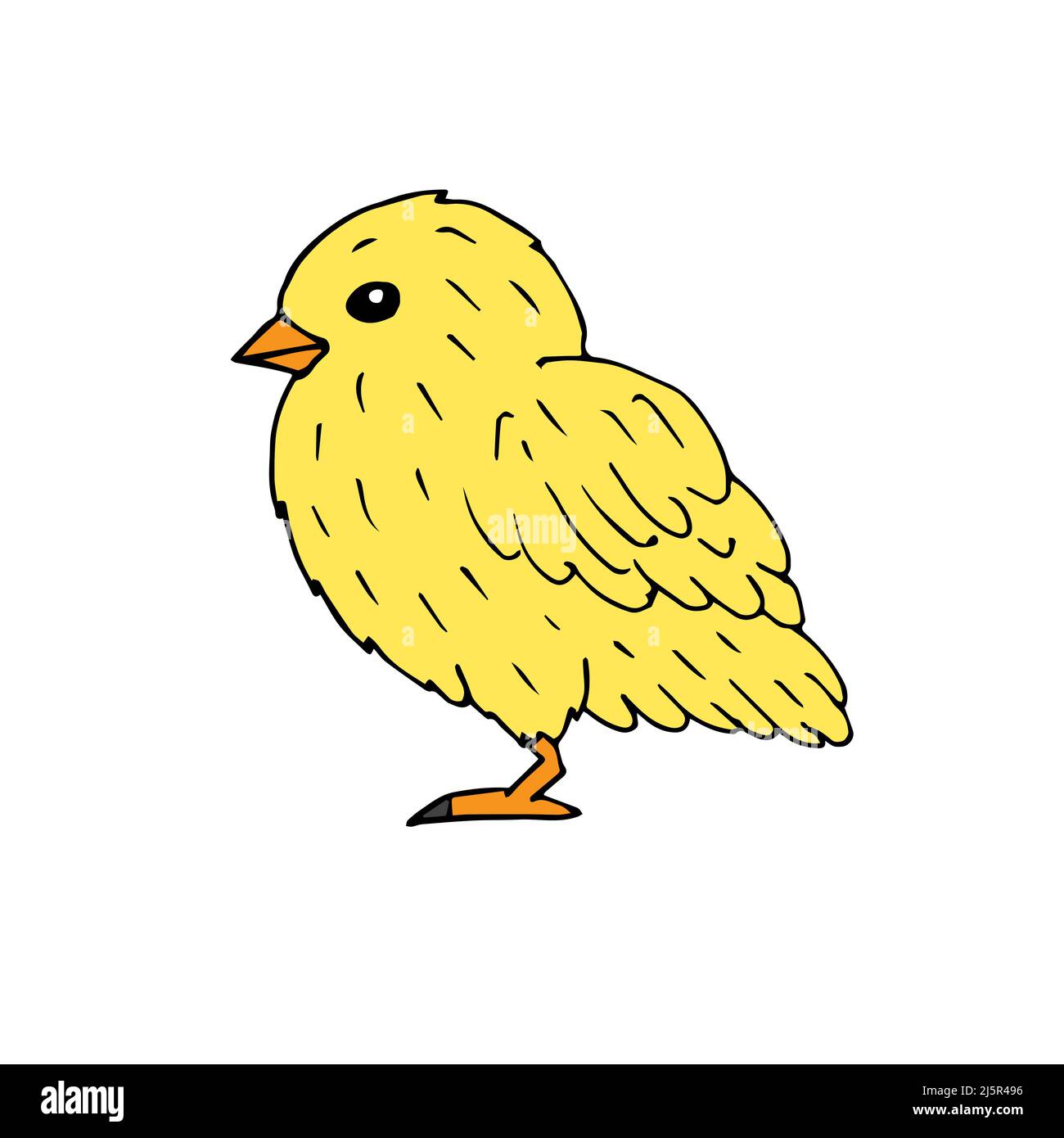 Vector hand drawn doodle sketch yellow baby chick isolated on white ...