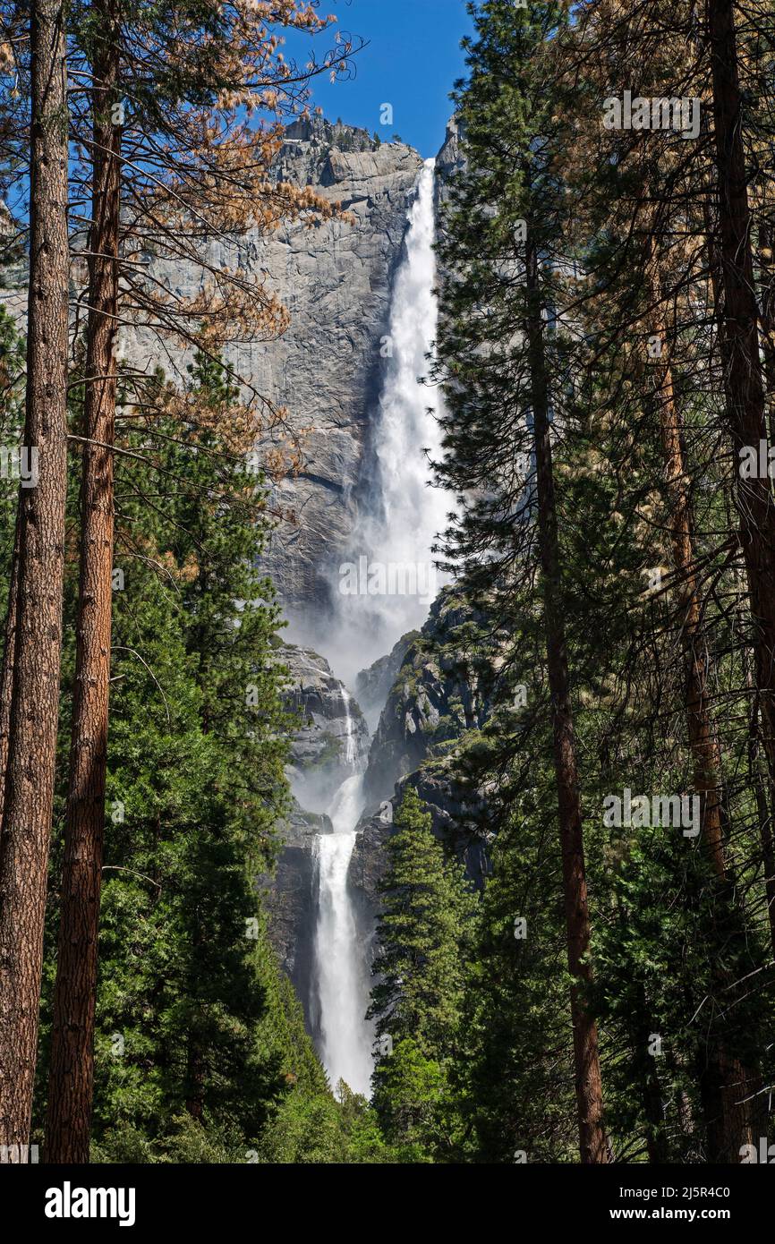 Yosemite National Park is best known for its waterfalls, but within its ...