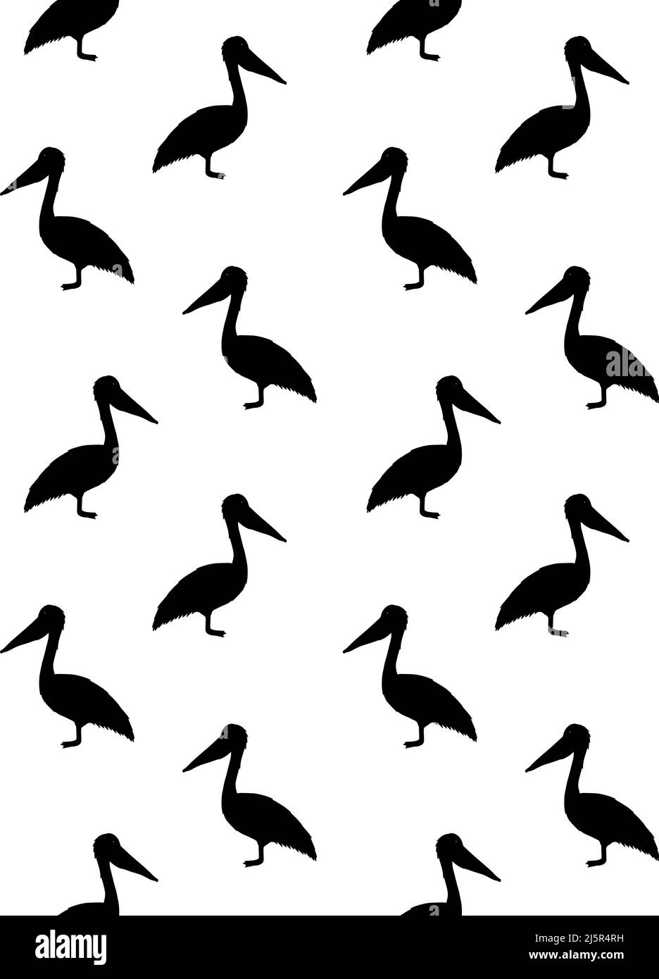 Vector seamless pattern of black pelican silhouette isolated on white ...