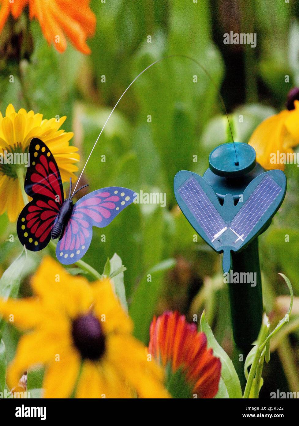 Fake sun flowers hi-res stock photography and images - Alamy