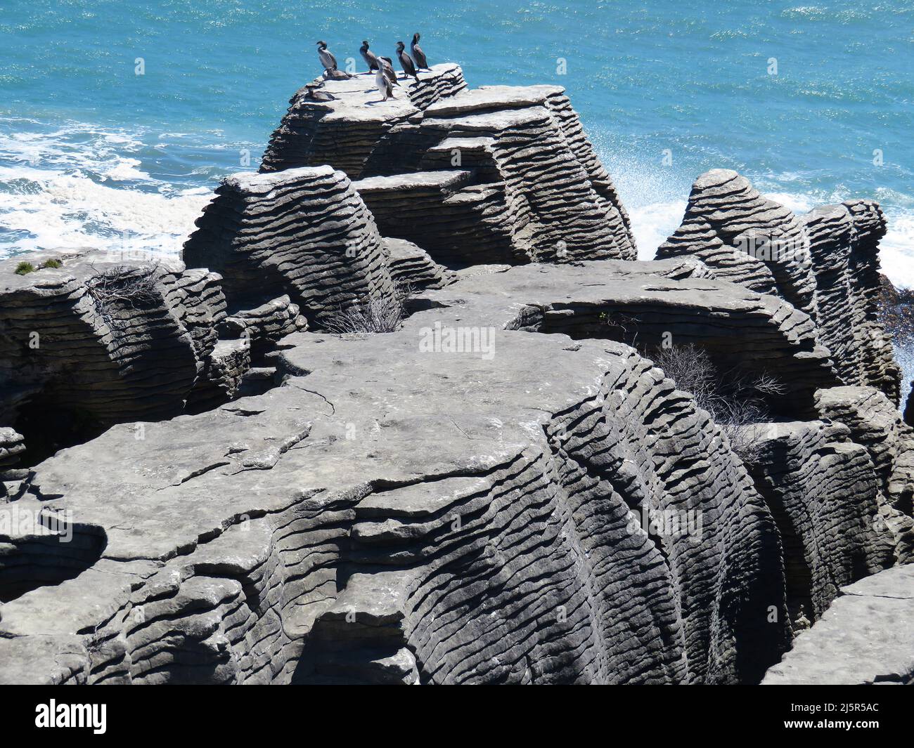 New Zealand, south island, west-coast - Punakaiki - The Pancake Rocks ...
