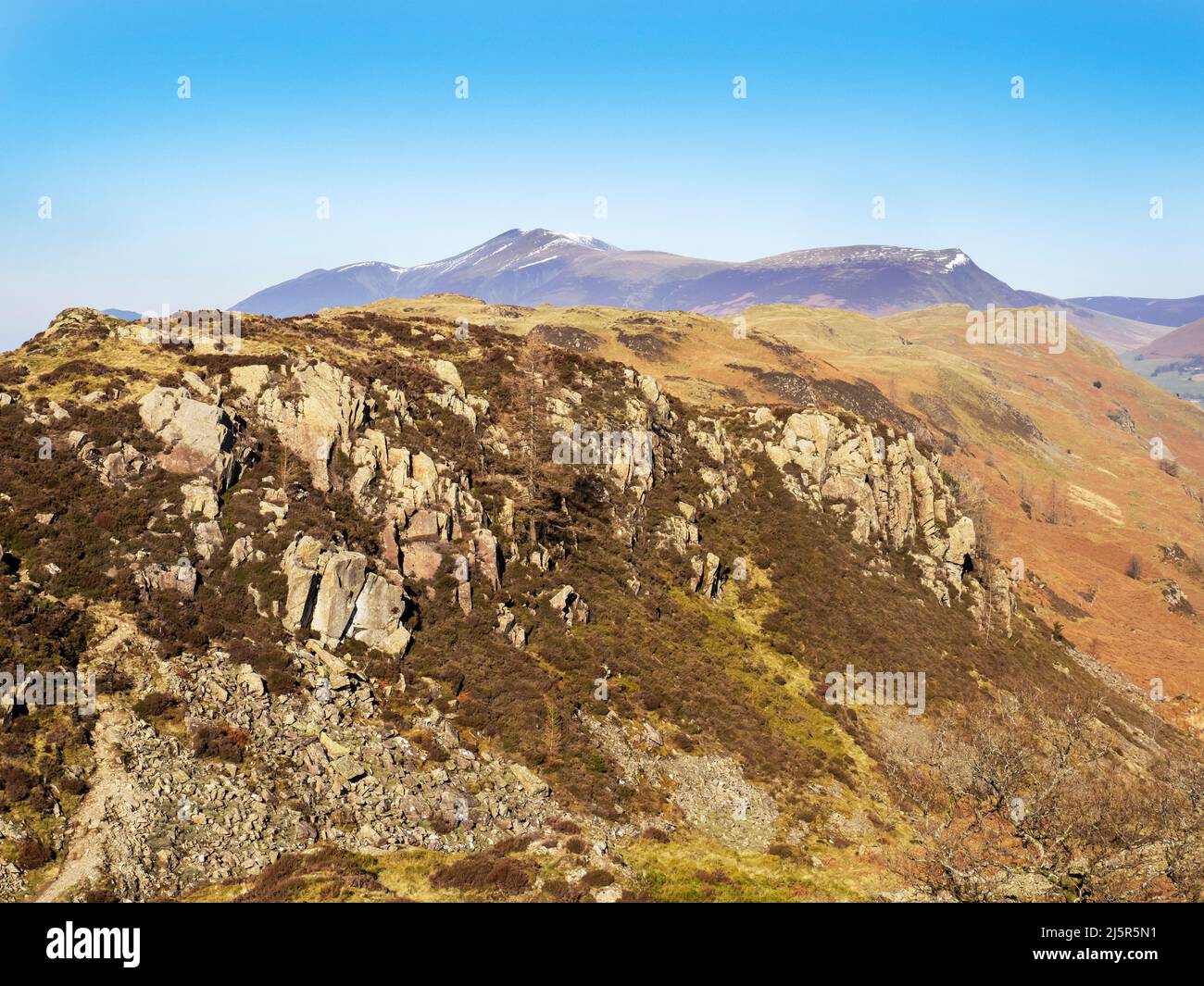 Skiddaw behind High Rigg, Lake District, UK Stock Photo - Alamy