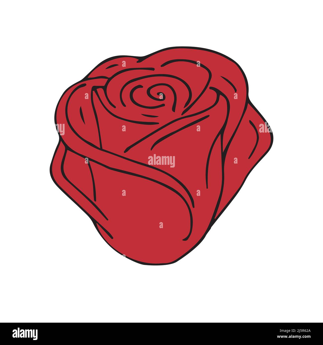 Vector hand drawn doodle sketch red rose flower isolated on white ...