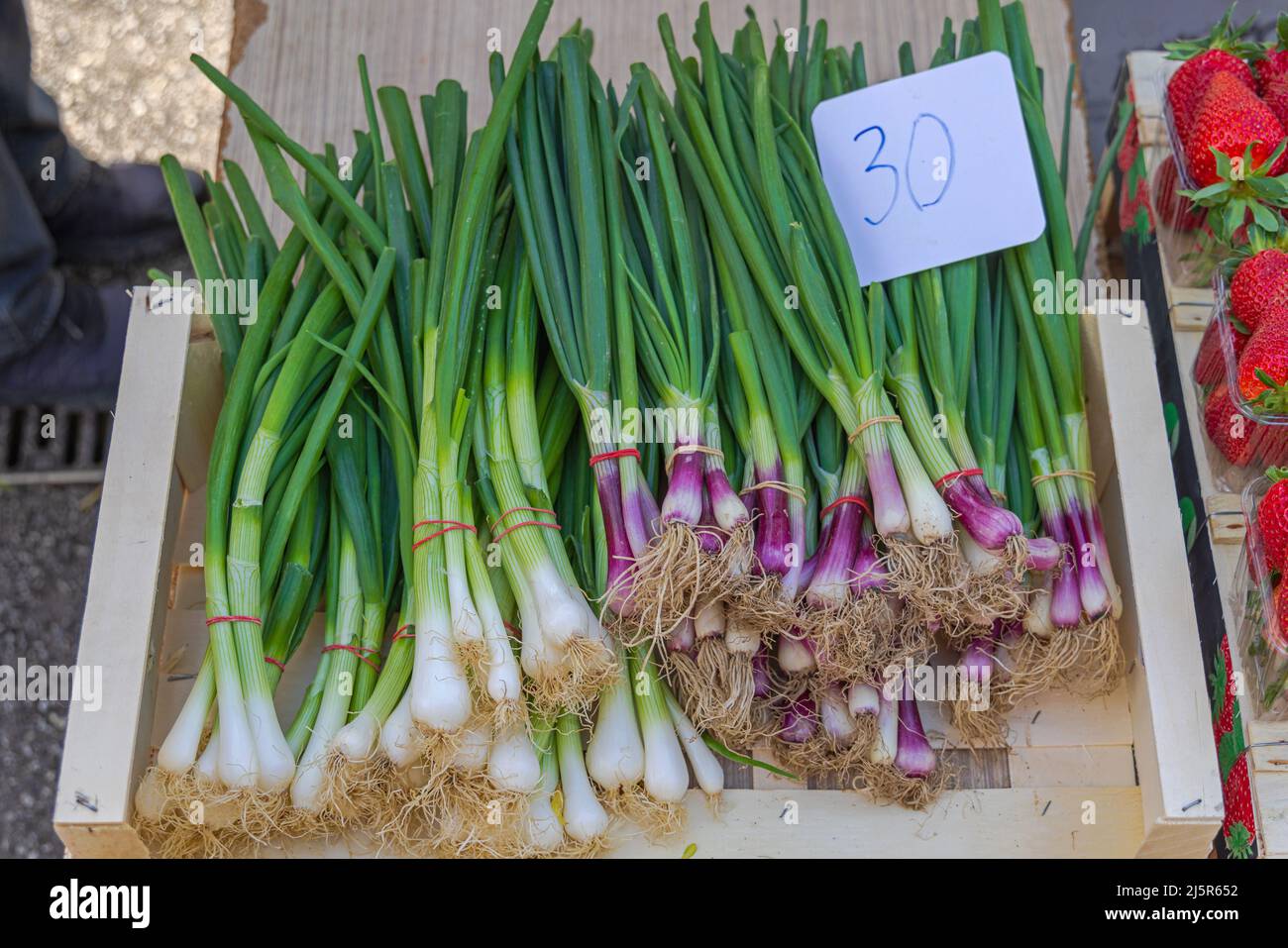 Scallions bunch with rubber bands hi-res stock photography and images ...