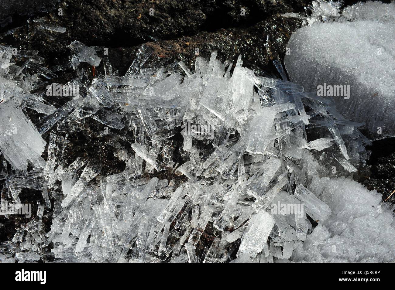 Needle ice outdoors shot from high angle in sunshine. Horizontal photo ...