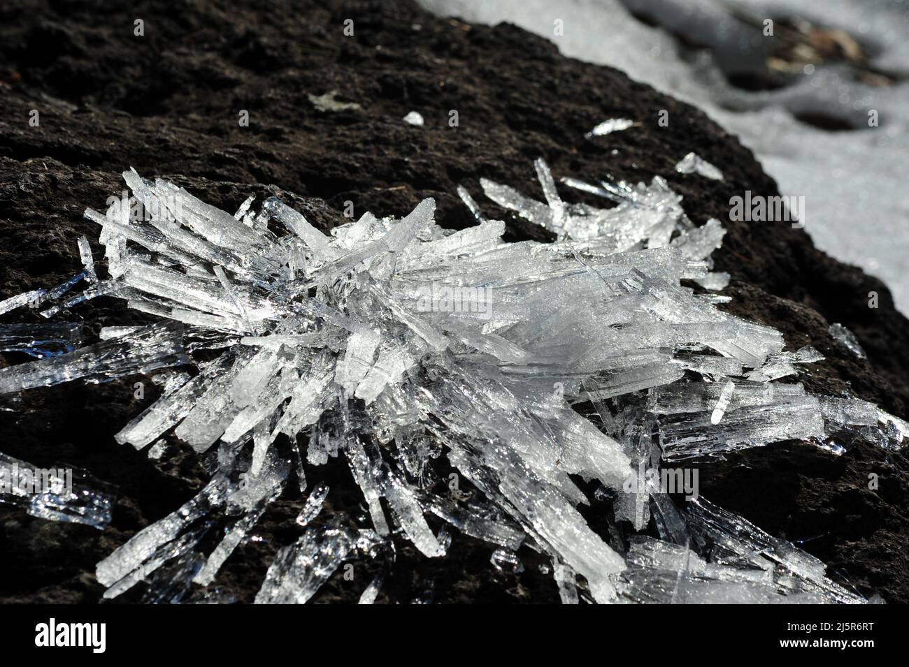Crystalized ice hi-res stock photography and images - Alamy
