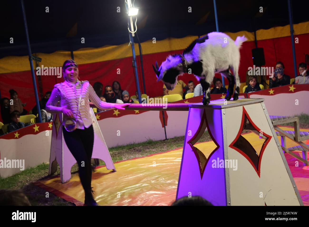 Trumpf renz family hi-res stock photography and images - Alamy