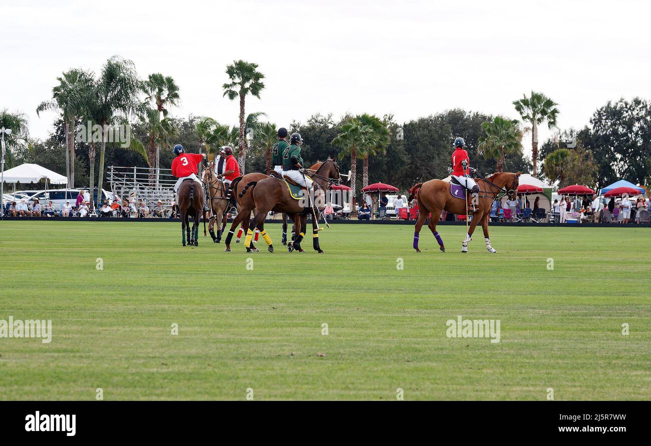 Polo match; fast paced; game; horses; people; sport; horses walking ...