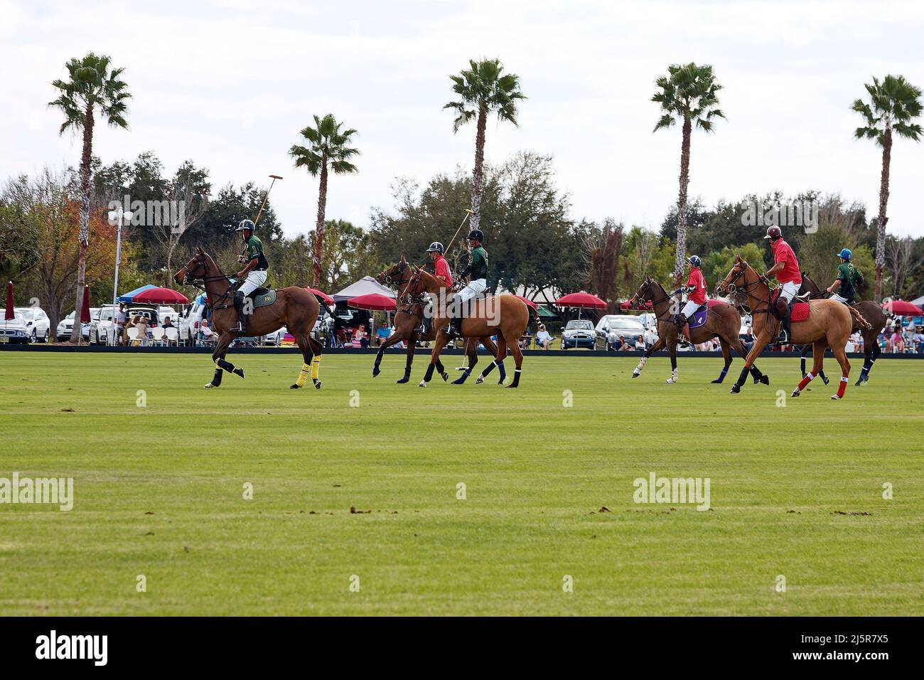 Polo match; players and horses walking down grassy field, motion, game ...