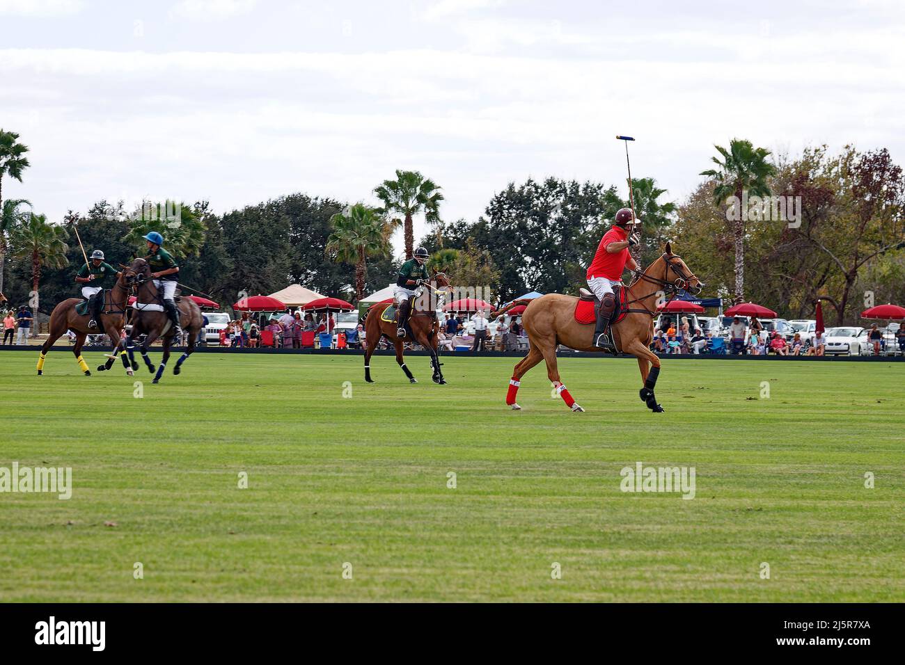 Polo match; fast paced; game; horses; people; sport; motion, spectators ...
